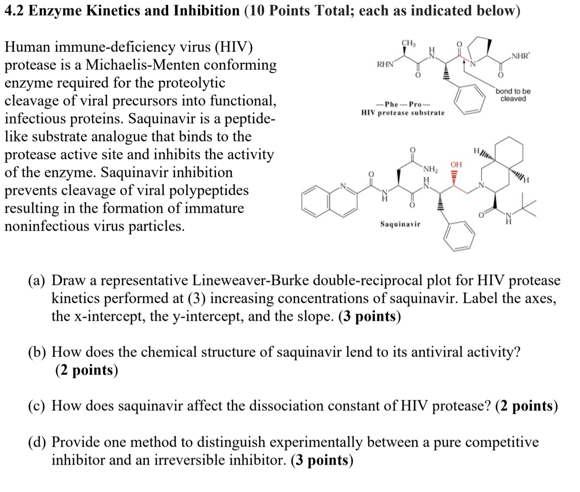 Solved 4.2 Enzyme Kinetics and Inhibition (10 Points Total; | Chegg.com