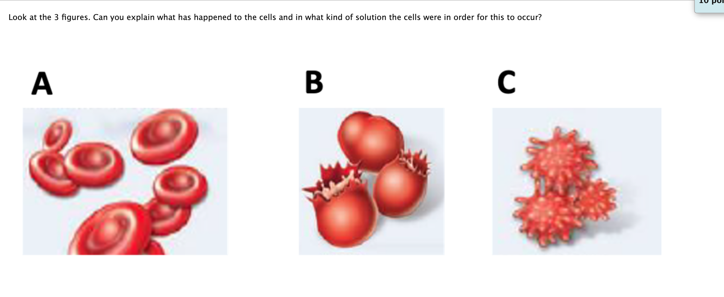 Solved 10 Look at the 3 figures. Can you explain what has | Chegg.com