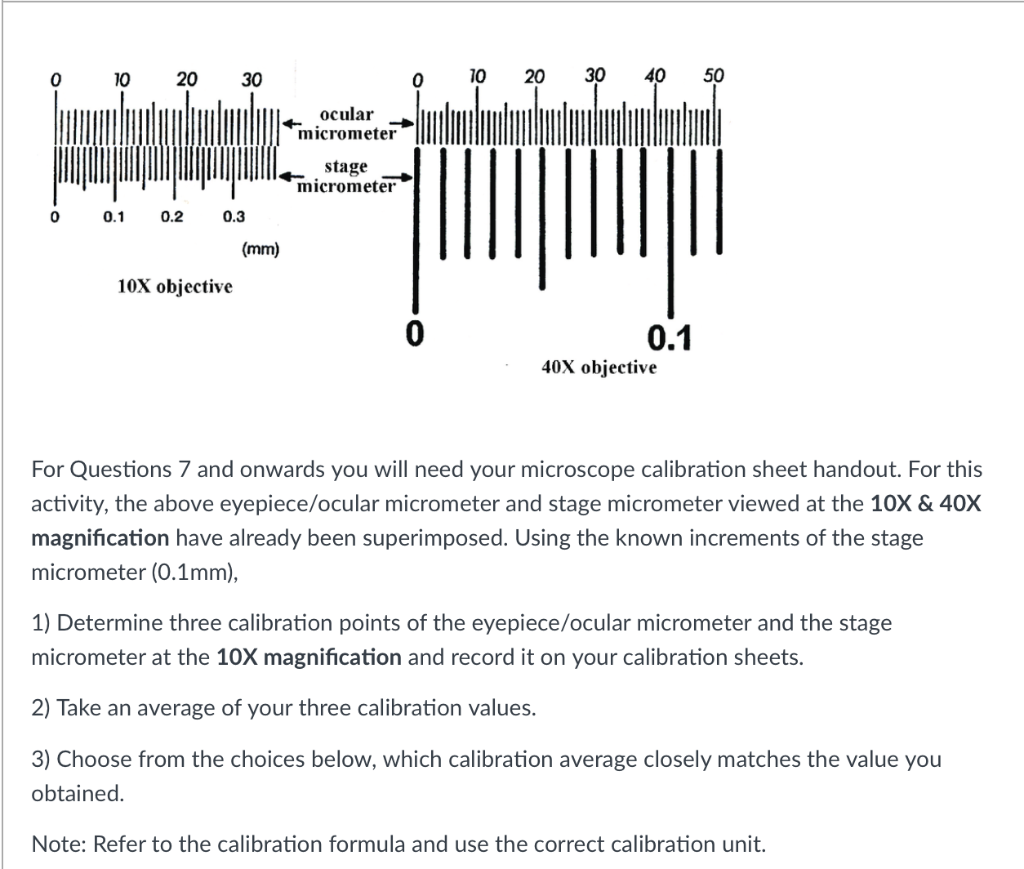 10 20 30 10 20 30 40 50 ocular micrometer stage | Chegg.com
