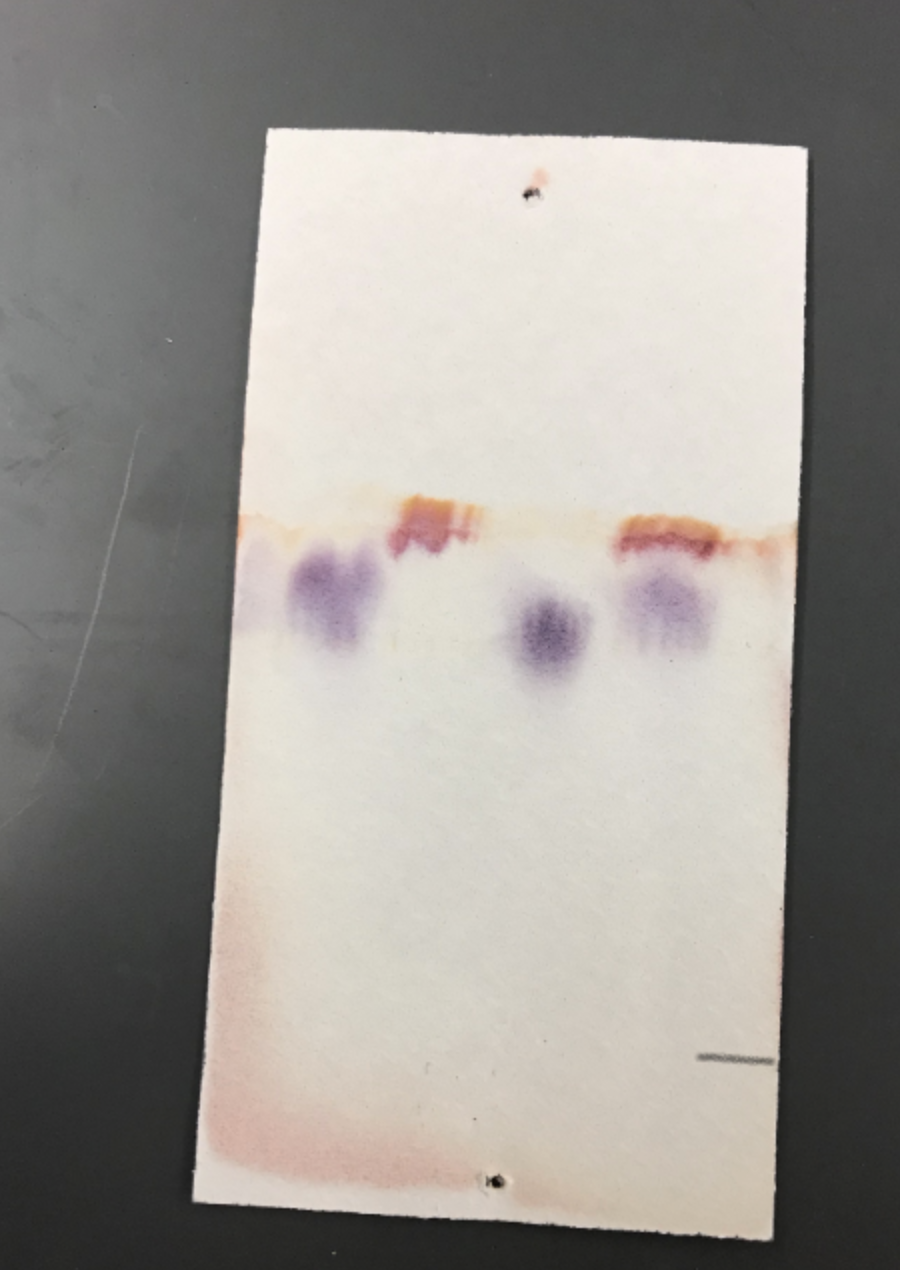 Solved PARTI Paper Chromatogram Pens used are numbers 1 4 00 | Chegg.com