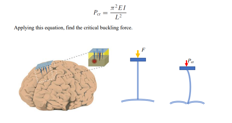 Solved A neuro-probe is a needle-like probe used to collect | Chegg.com