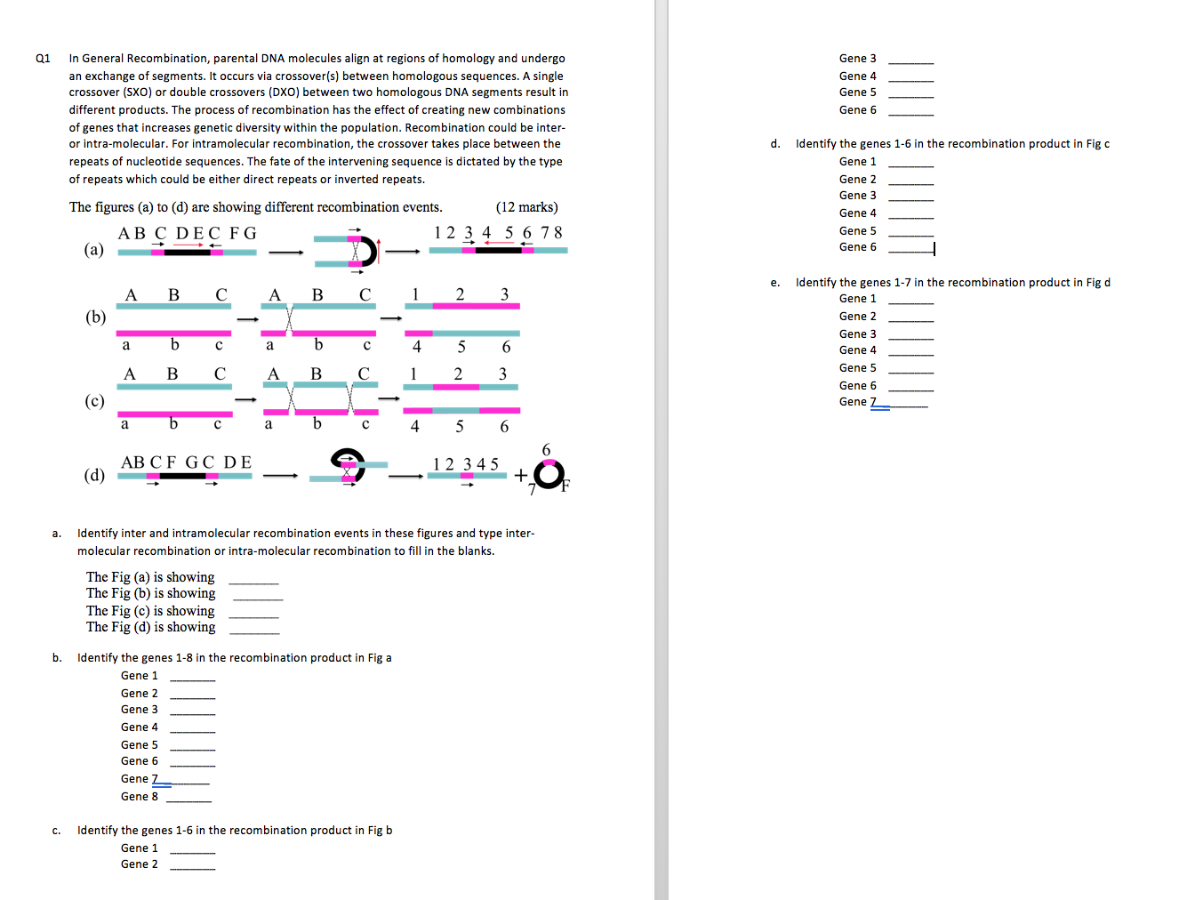 Solved Q1 Gene 3 Gene 4 Gene 5 Gene 6 in General | Chegg.com