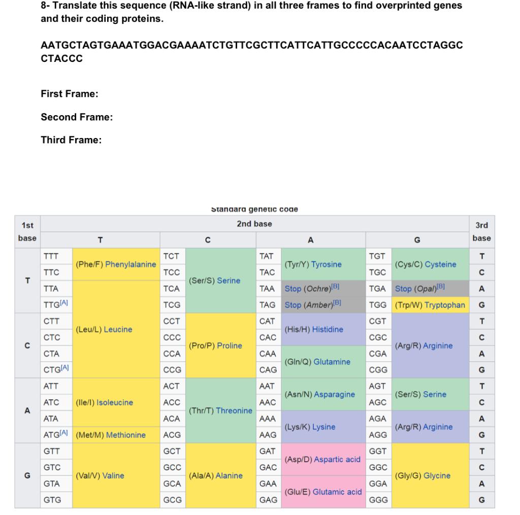 Solved Translate this sequence (RNA-like strand) in all | Chegg.com