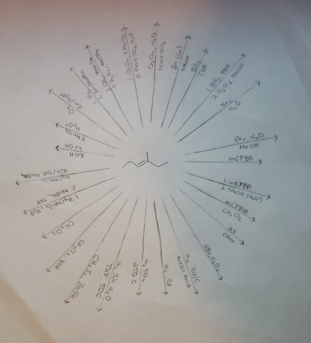 Solved Please complete the alkene reaction wheel. Note if | Chegg.com