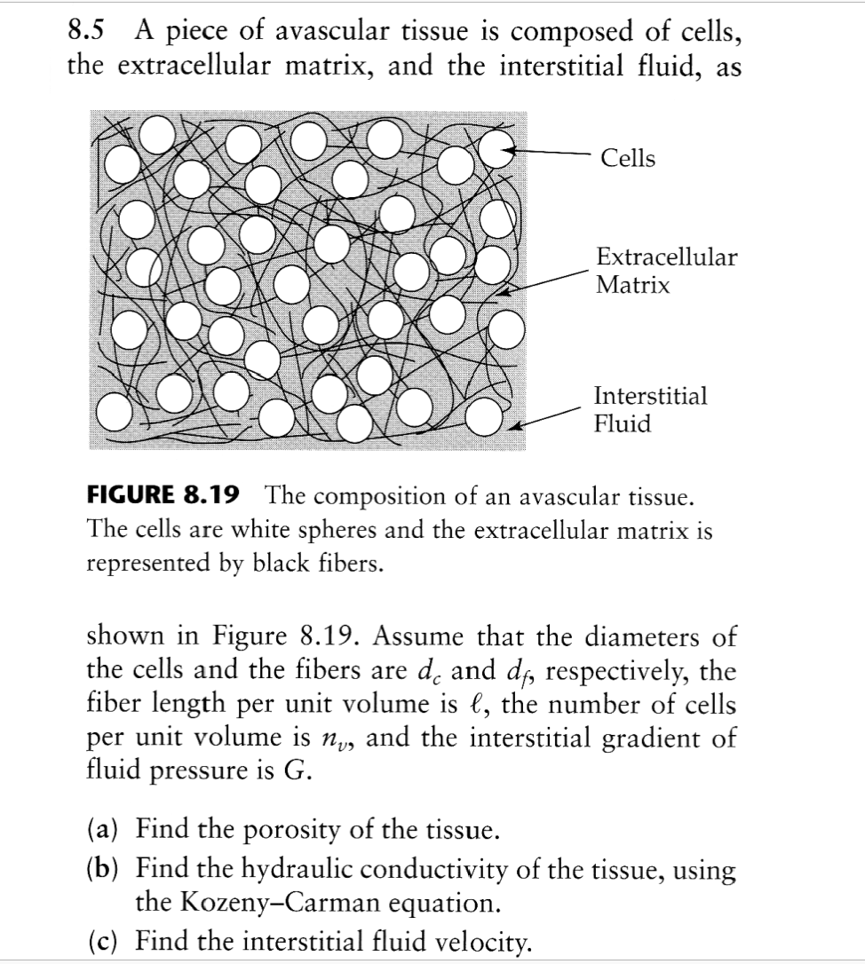 Solved 8.5 A piece of avascular tissue is composed of cells, | Chegg.com