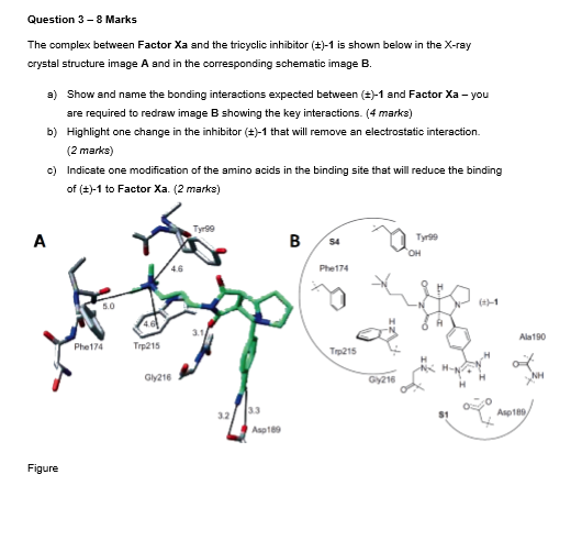 Solved Question 3-8 Marks The complex between Factor Xa and | Chegg.com