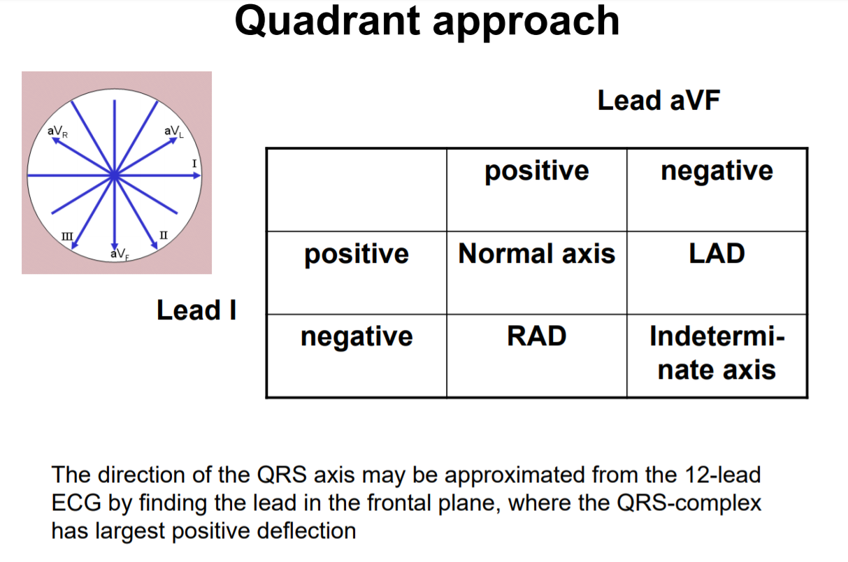 Solved Quadrant approach Lead aVF positive negative positive | Chegg.com
