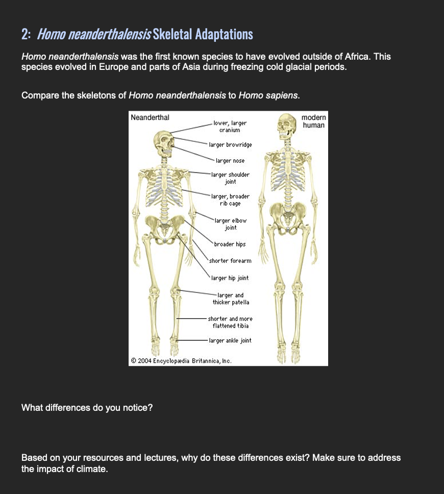 Solved 2: Homo neanderthalensis Skeletal Adaptations Homo | Chegg.com