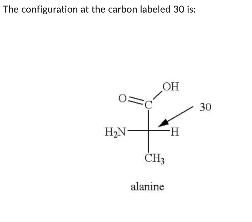 Solved The configuration at the carbon labeled 30 is: | Chegg.com