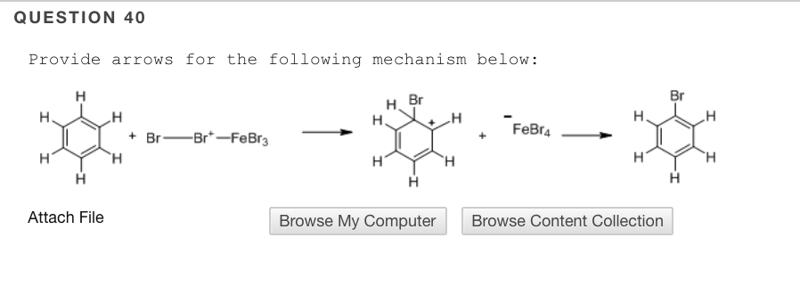 Solved QUESTION 40 Provide arrows for the following | Chegg.com