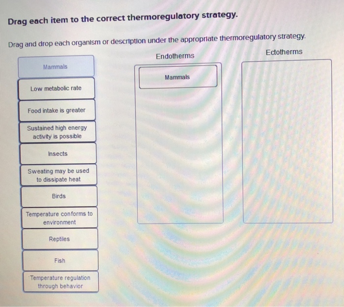 Solved Drag each item to the correct thermoregulatory | Chegg.com