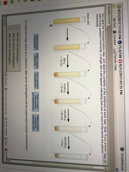 Solved (a) Label the homogenization step, and label the | Chegg.com