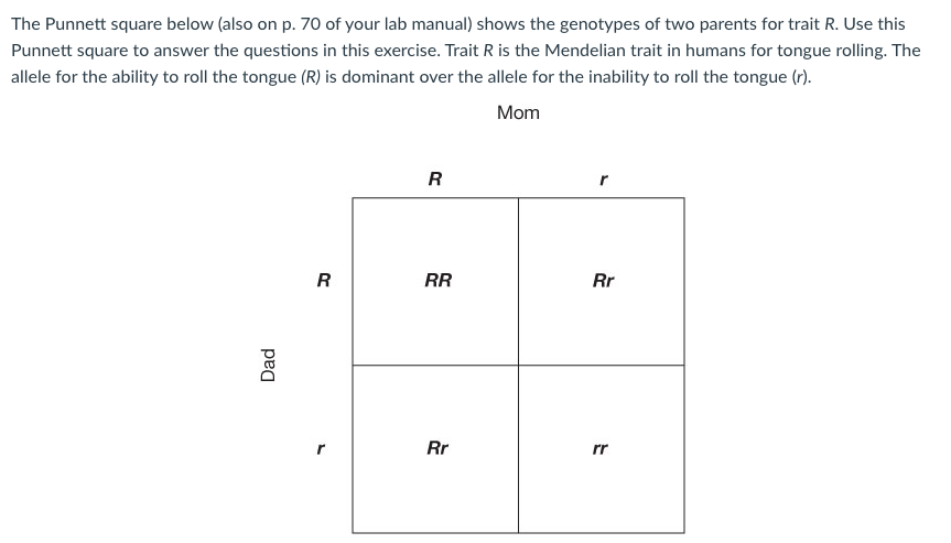 Solved The Punnett square below (also on p. 70 of your lab | Chegg.com