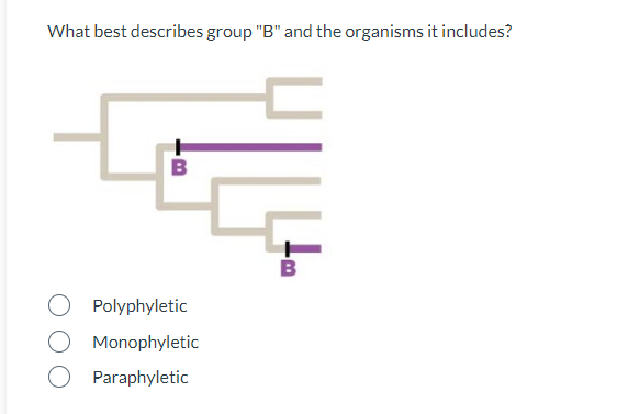 Solved What best describes group "B" and the organisms it | Chegg.com