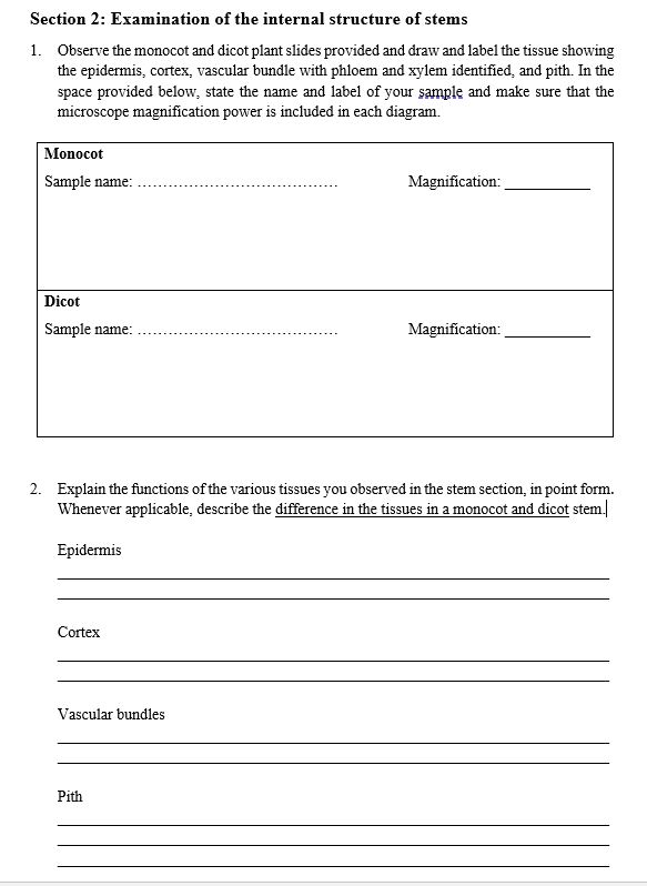 Solved Section 1: Examination of the internal structure of | Chegg.com
