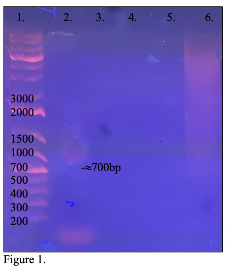 Solved Label and add the figure caption to the figure below; | Chegg.com