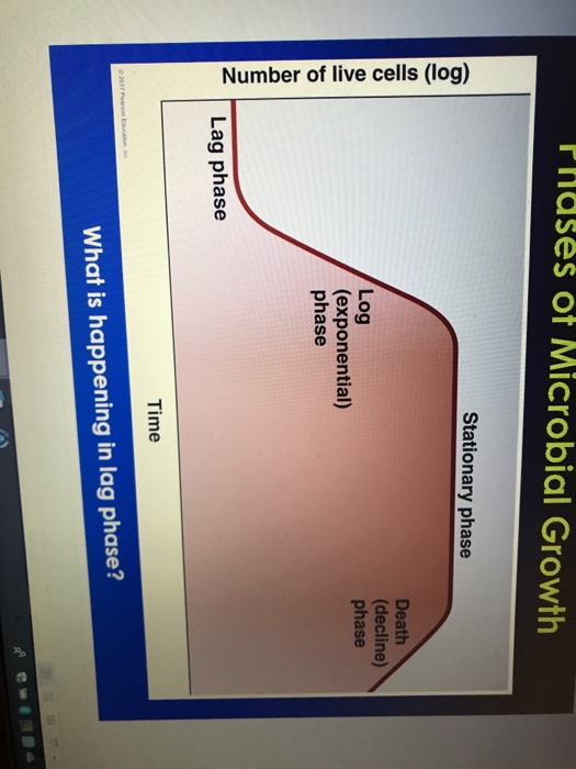 Solved Number of live cells (log) | Chegg.com