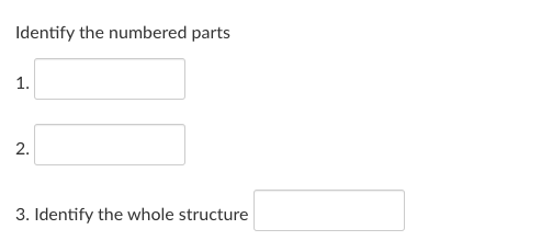 Solved 1 2 Identify the numbered parts 1. 2. 3. Identify | Chegg.com