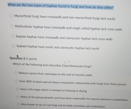 Solved What are the two types of hyphae found in fungi and | Chegg.com