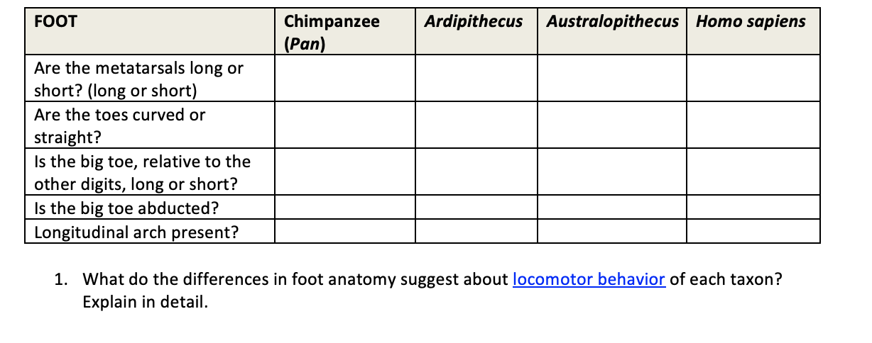 Solved FOOT Ardipithecus Australopithecus Homo sapiens | Chegg.com