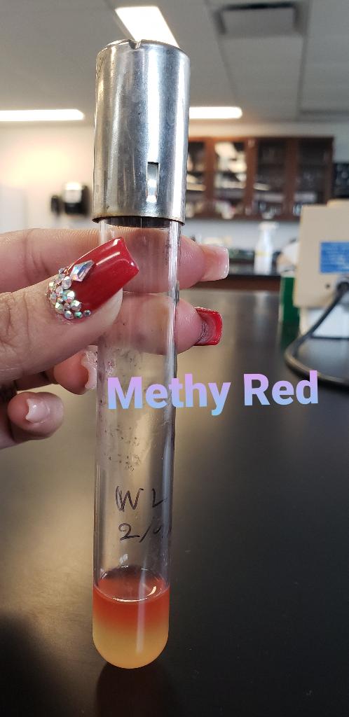 Solved , Methy Red WL 20 TSI(1 day) WL Citrate (1D) | Chegg.com