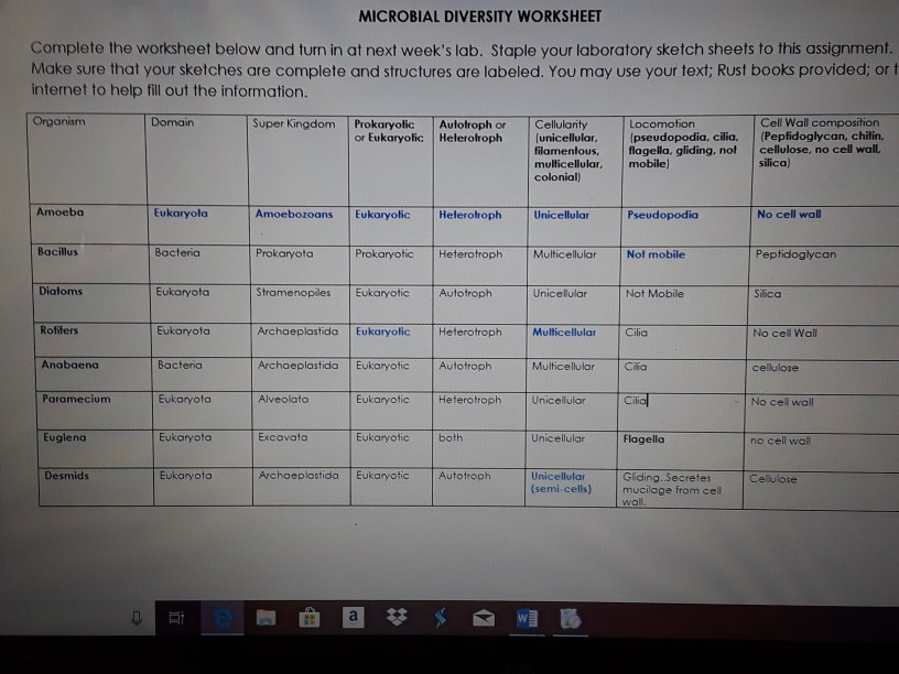 Solved MICROBIAL DIVERSITY WORKSHEET Complete the worksheet | Chegg.com