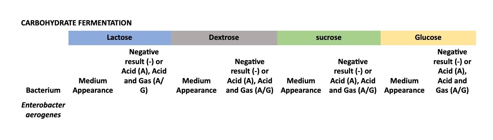 Solved Instructions: Investigate the results of the test | Chegg.com