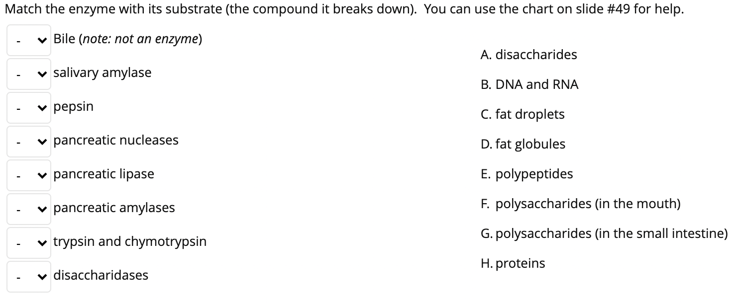 Solved Match the enzyme with its substrate (the compound it | Chegg.com