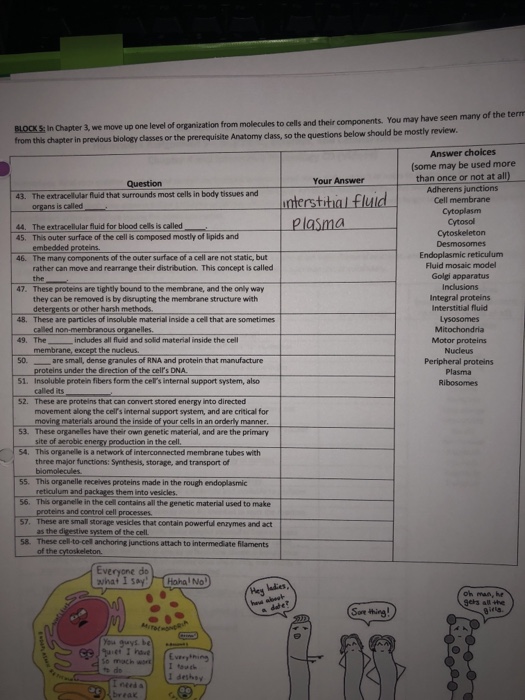 Solved BIO 206-General Human Physiology Homework Assignment | Chegg.com