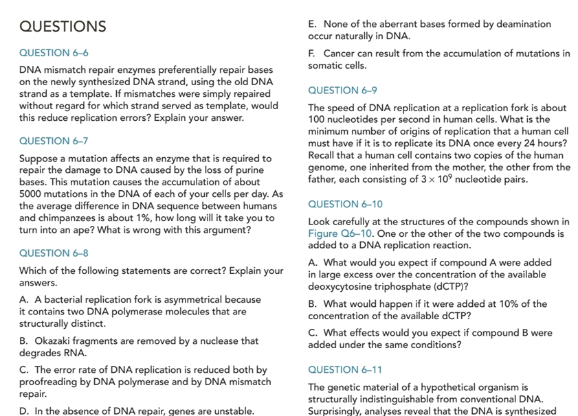 Solved QUESTIONS QUESTION 6-6 DNA mismatch repair enzymes | Chegg.com