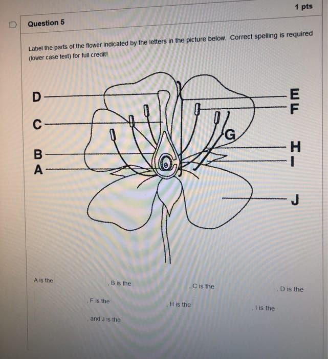 Solved 1 pts D Question 5 Label the parts of the flower | Chegg.com