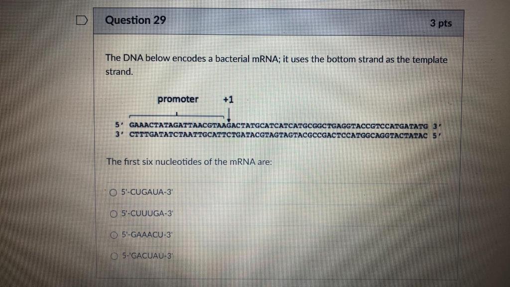 Solved Question 29 3 pts The DNA below encodes a bacterial | Chegg.com