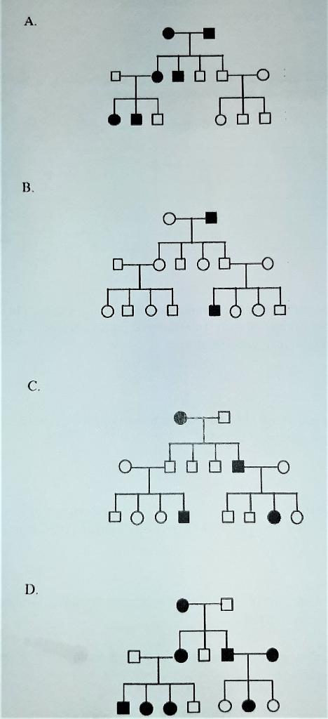 Solved Problem: "Indicate the pattern of inheritance in the | Chegg.com