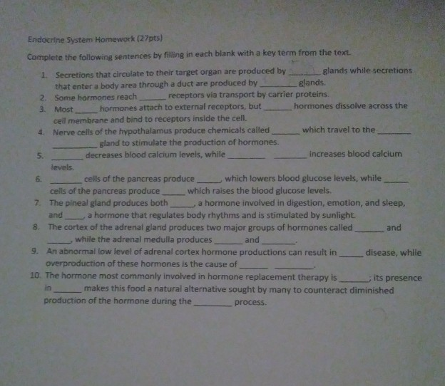 Solved Endocrine System Homework (27pts) Complete the | Chegg.com