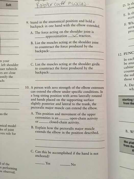 Solved Soft slow ecce 9. Stand in the anatomical position | Chegg.com