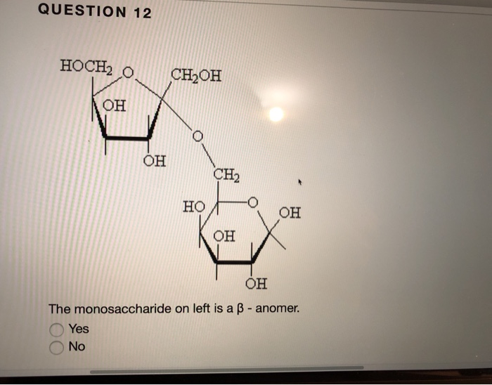 Solved QUESTION 12 HOCH2 o CH2OH OH OH CH2 HO OH OH OH The | Chegg.com