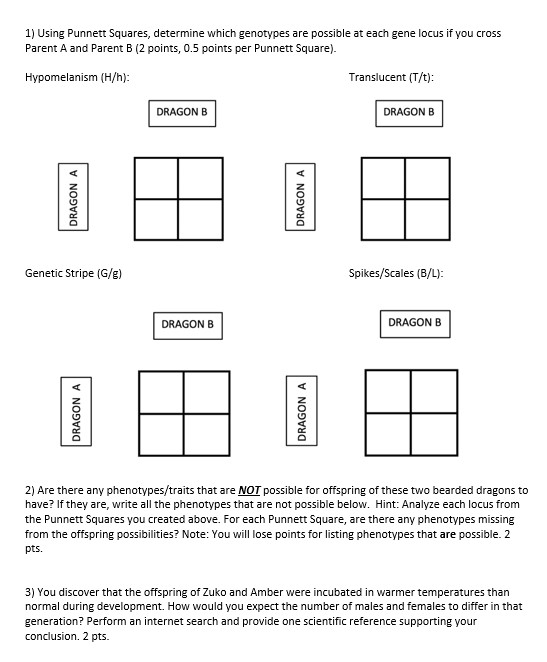 Solved Bearded Dragons can have multiple unique traits and | Chegg.com