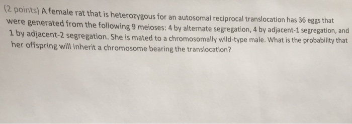 Solved (2 points) A female rat that is heterozygous for an | Chegg.com