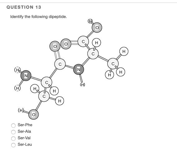 Solved QUESTION 13 ldentify the following dipeptide C(H | Chegg.com Solved QUESTION 13 ldentify the following dipeptide C(H | Chegg.com