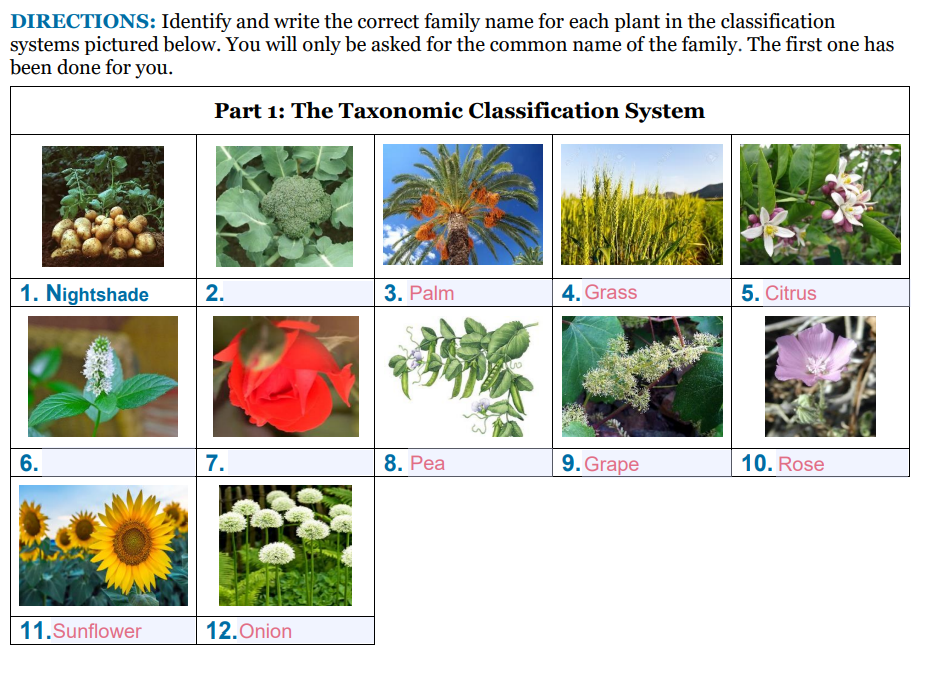 Solved DIRECTIONS: Identify and write the correct family | Chegg.com