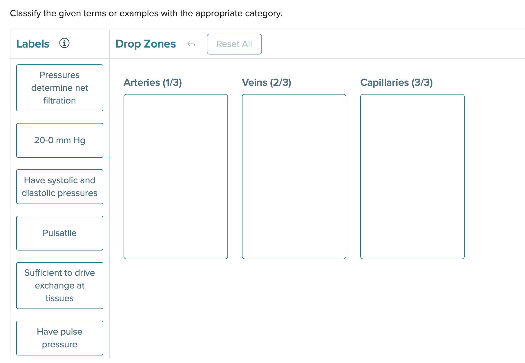 Solved Classify the given terms or examples with the | Chegg.com