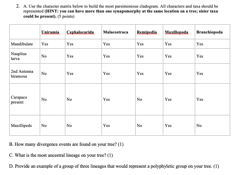 Solved 2. A. Use the character matrix below to build the | Chegg.com