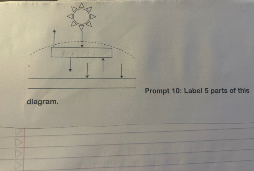 Prompt 10: Label 5 ﻿parts of thisdiagram. | Chegg.com