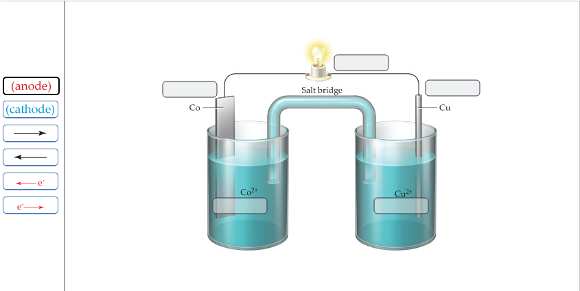 Solved Label the anode and cathode and show the direction of | Chegg.com