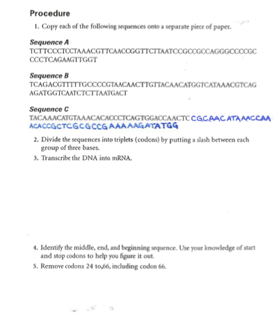Solved 6 Translate the mRNA into protein using the genetic | Chegg.com