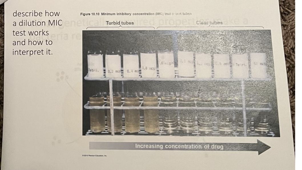 Solved describe how a dilution MIC test works and how to | Chegg.com