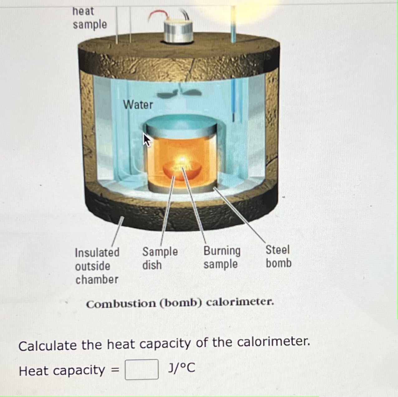 Solved Can someone help me to answer this correctly, please, | Chegg.com