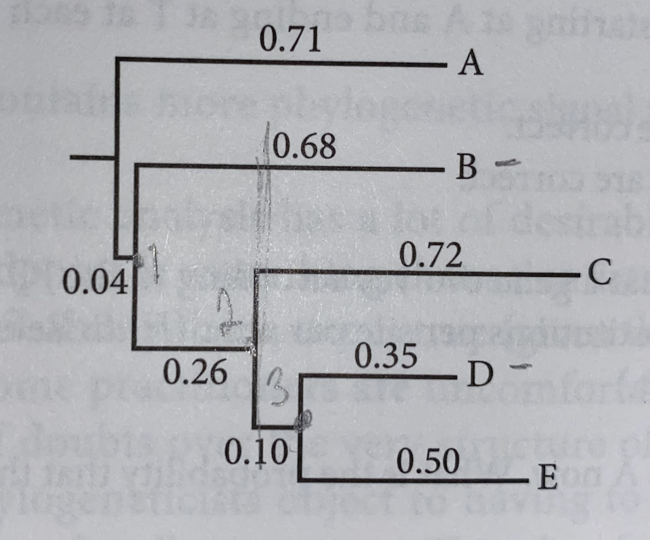 Solved Given the tree, what is the evolutionary distance | Chegg.com