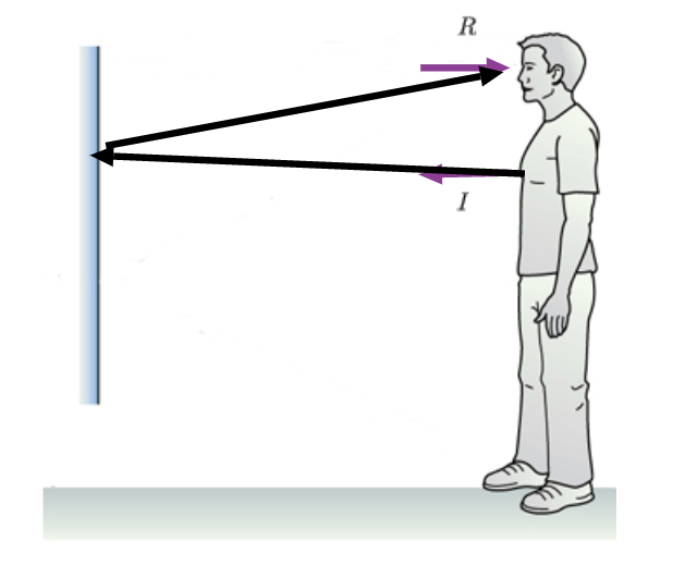 Solved Vittorio needs to clean the dusty mirror hanging on | Chegg.com