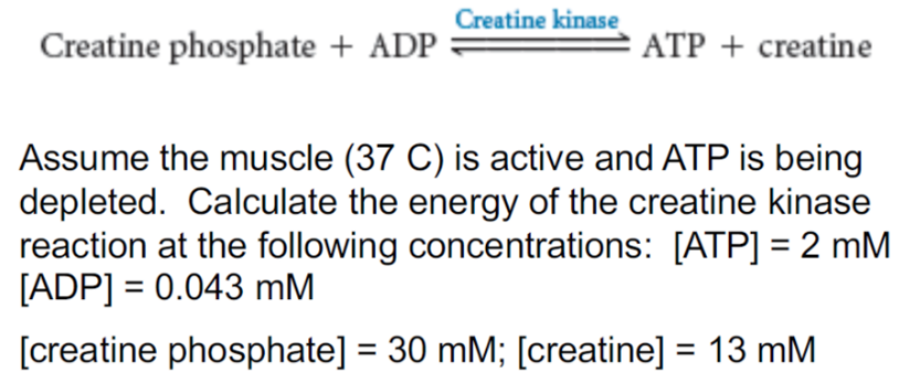 Solved Assume the muscle (37C) is active and ATP is being | Chegg.com